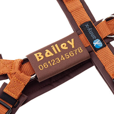 Anny-X Hondentuigjes - Alle info over de AnnyX tuigjes op een rij!