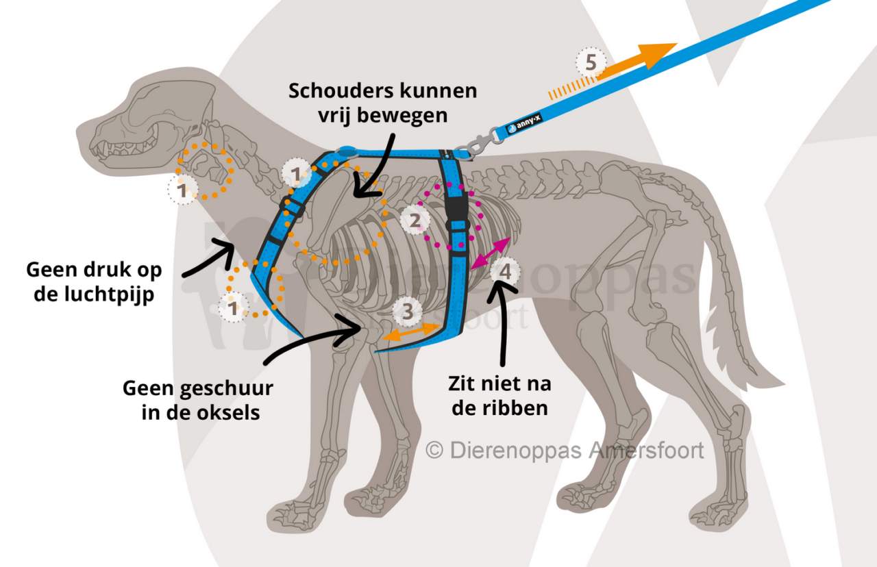 Hoe stel je het Anny X tuig af? Tips & Tricks!